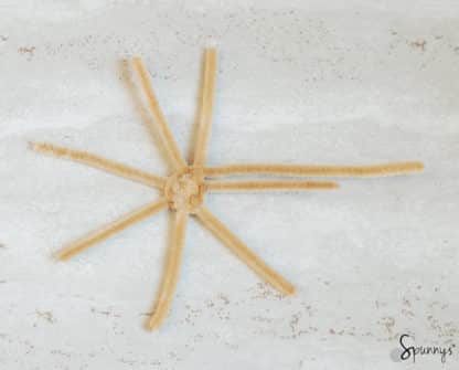 How to make miniature Pipe Cleaner Hats - SPUNNYS DIY Tutorial